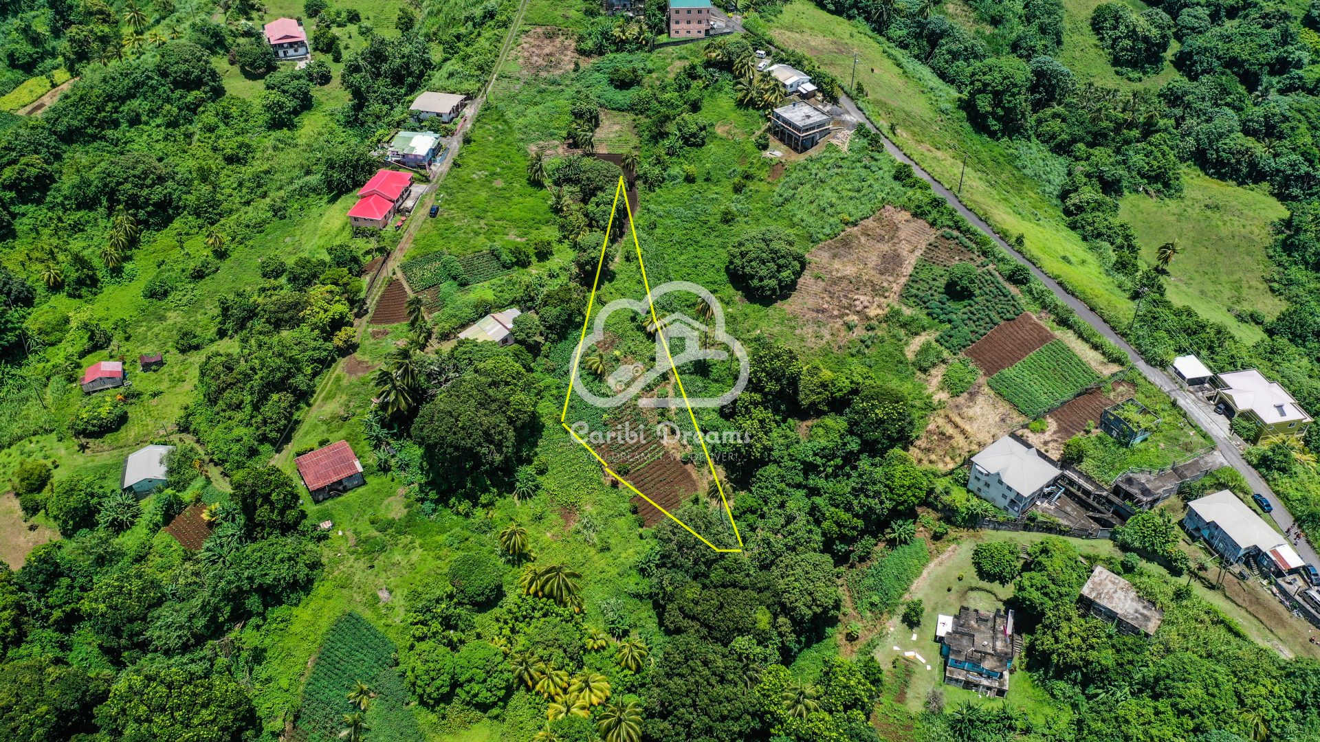 Lot in upper Cane Hall - CaribiDreams