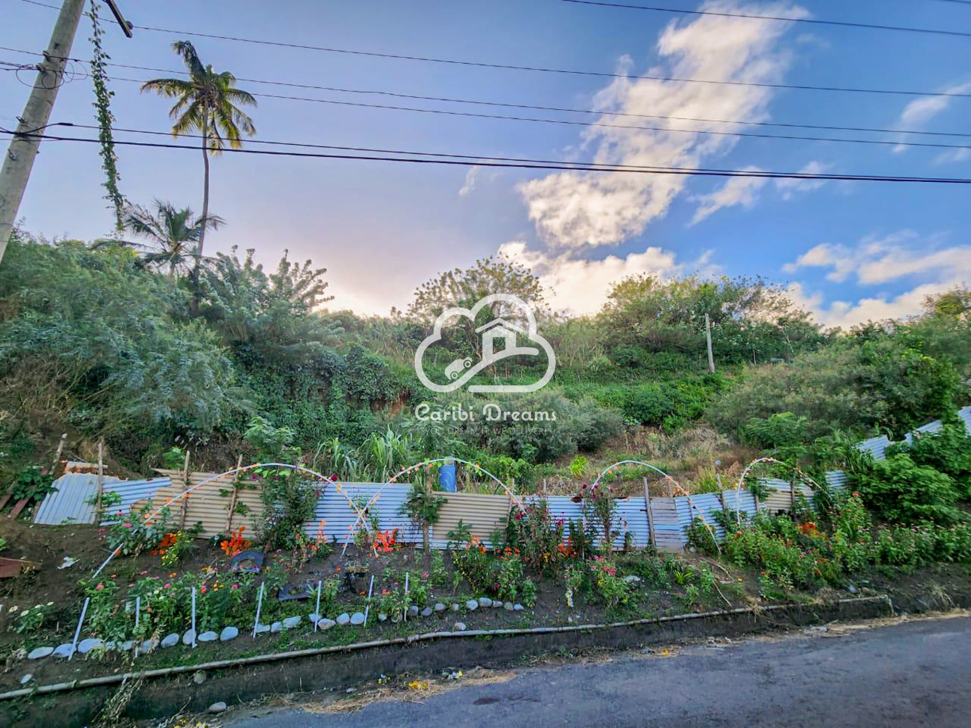 [Sold] Lot in Peruvian Vale - CaribiDreams